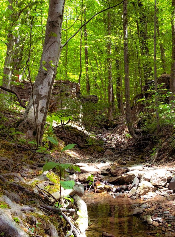 shine bright | dymoonblog