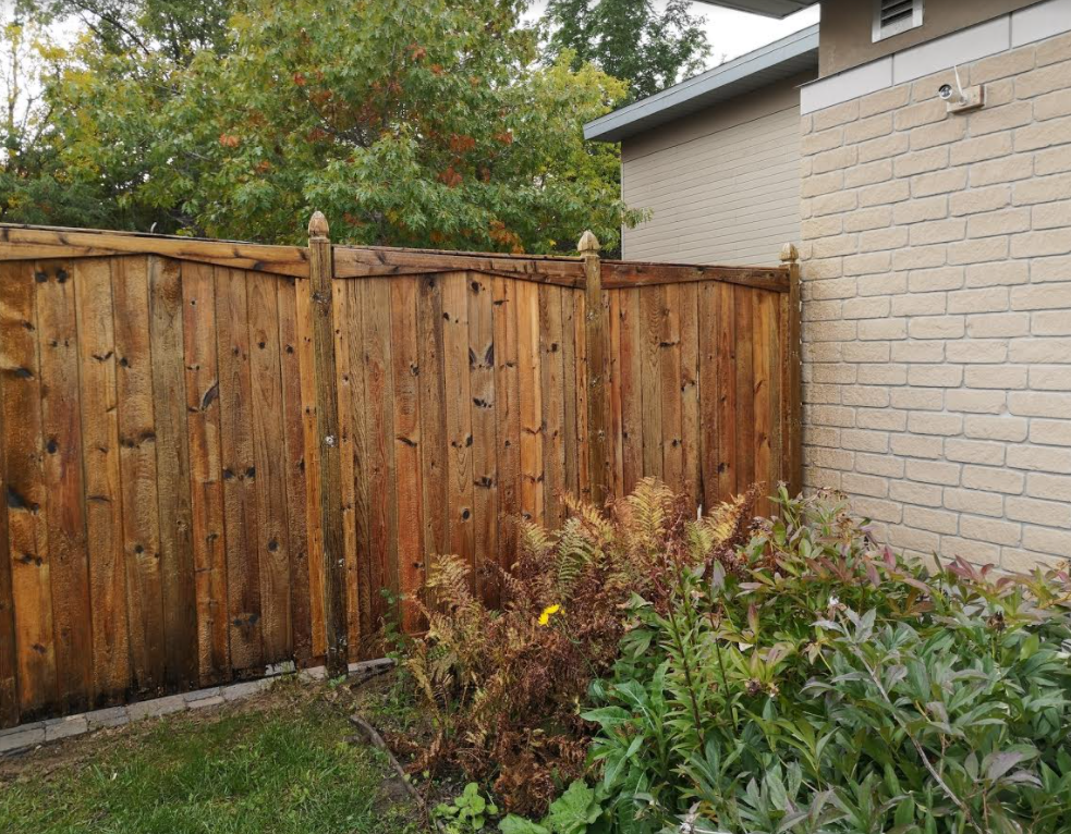 the Fence | dymoonblog