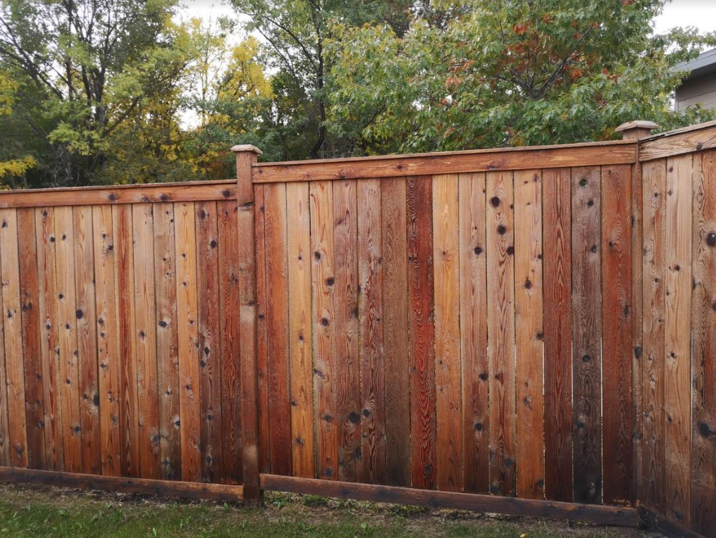 the Fence | dymoonblog