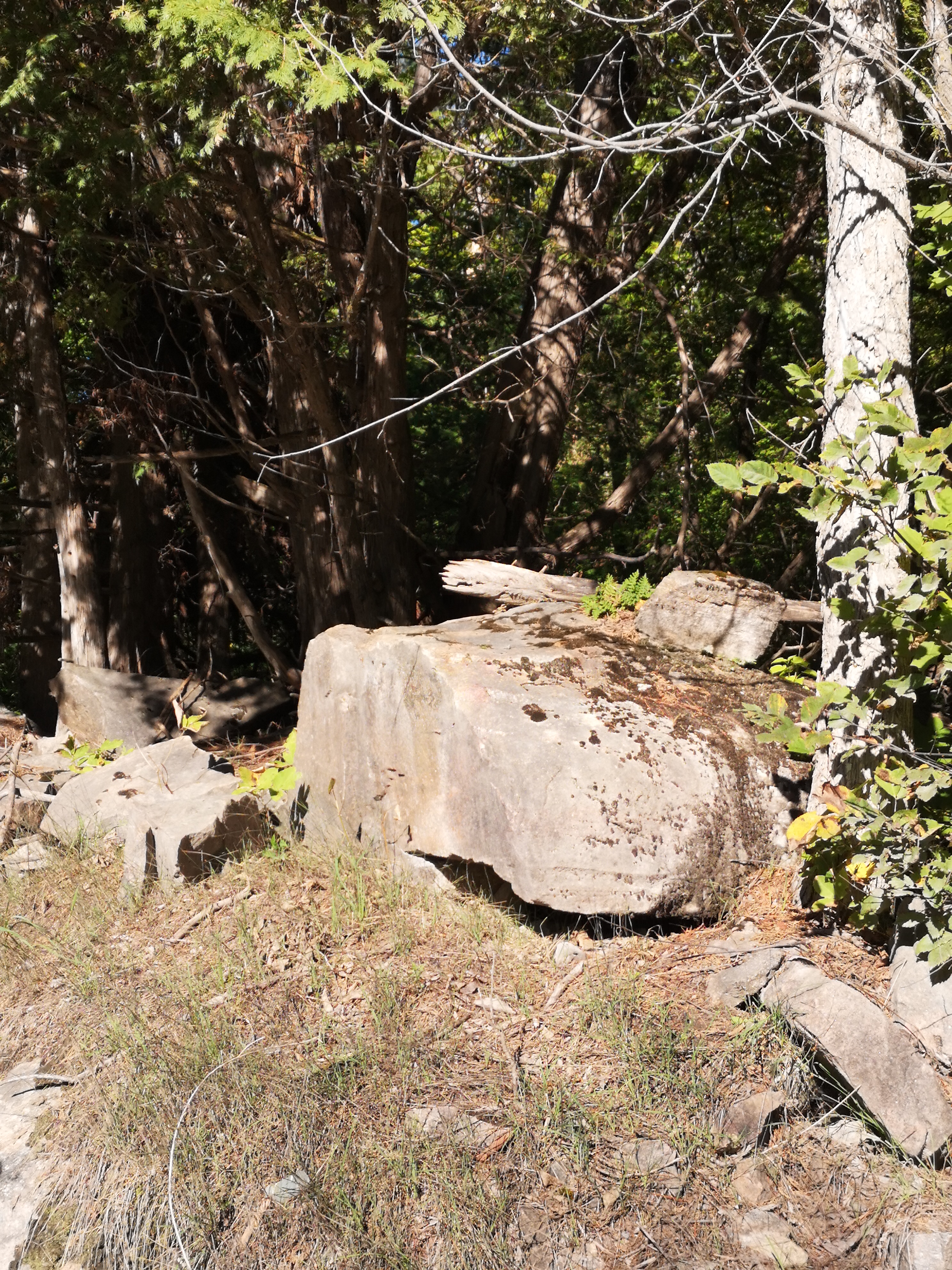Hello rock | dymoonblog
